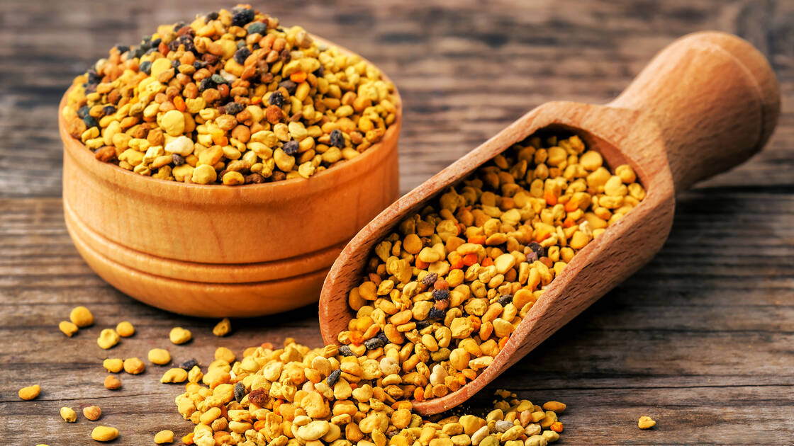 Alt du skal vide om bipollen