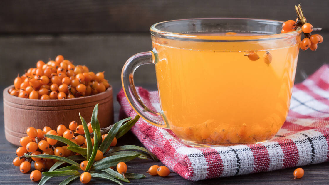 Havtorn – Derfor elsker vi nordens citron